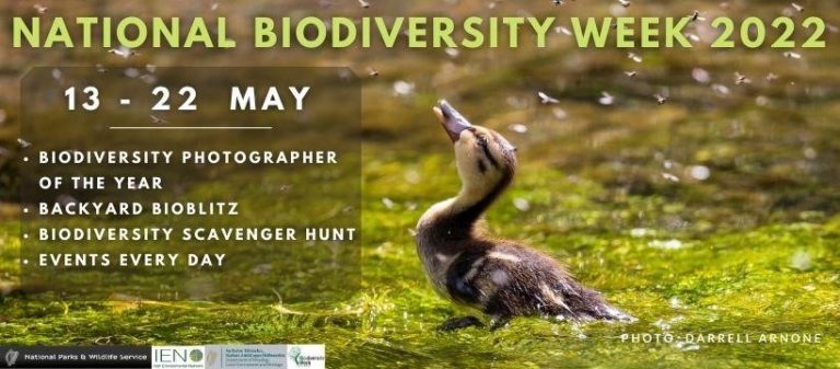 Meath Public Participation Network » National Biodiversity Week 2022