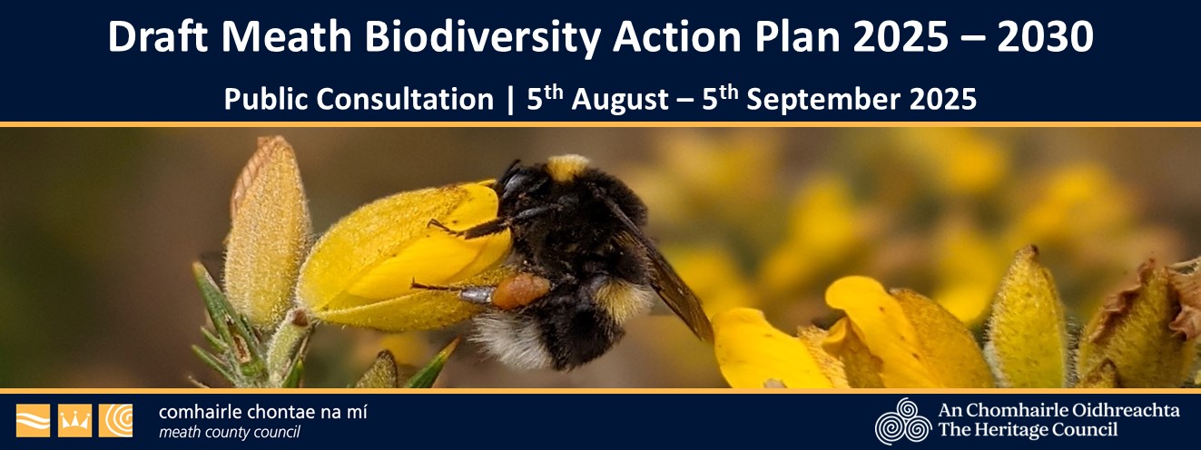 Meath Public Participation Network » Draft Meath Biodiversity Action Plan 2025 – 2030: public ...